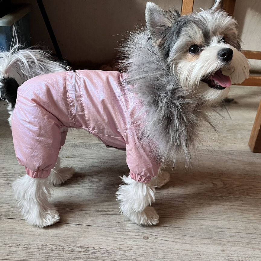 Комбинезон для собак