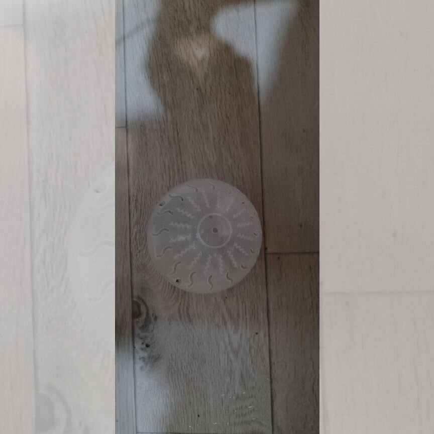 Шар для хомяка большой