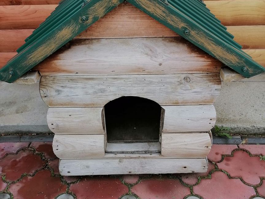 Собачья конура