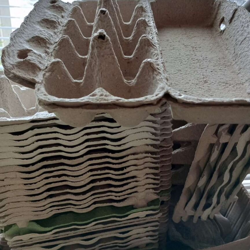 Клетки из под яиц