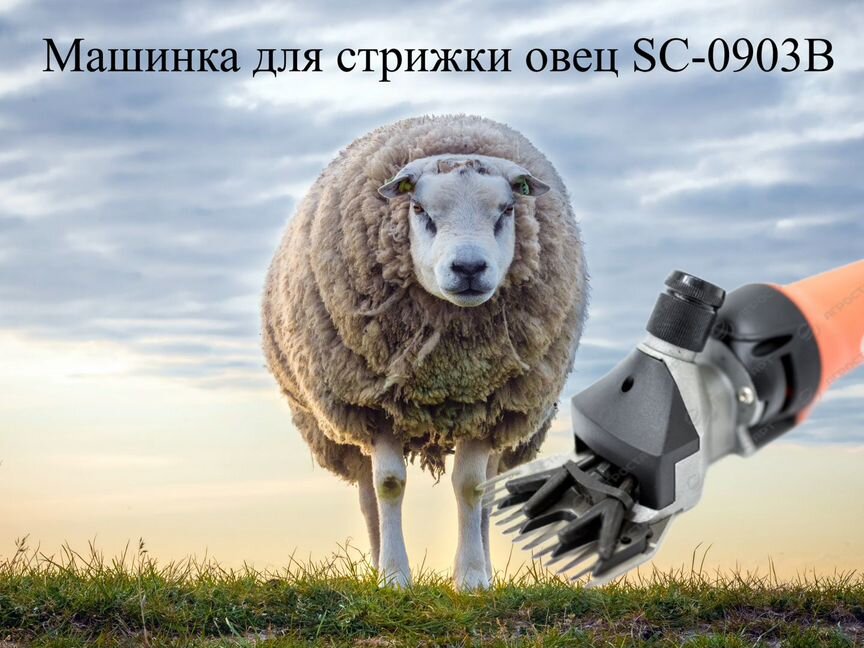 Машинка для стрижки овец Baoda
