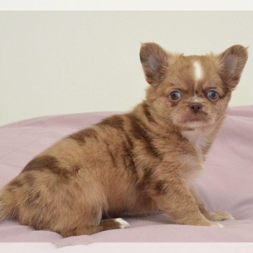 Один на миллион