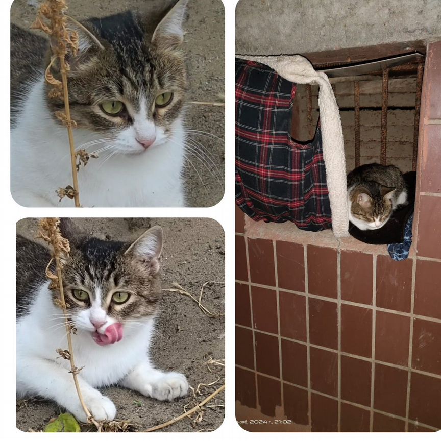 Зайка в поисках семьи