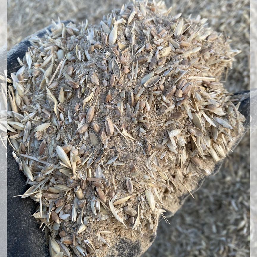 Зерновые отходы