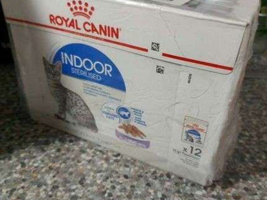 Royal canin indoor sterilised в желе