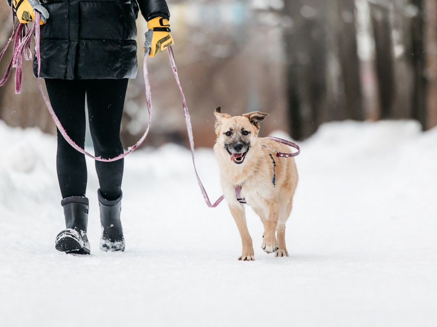 Все детство провела в приюте