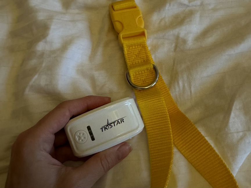GPS ошейник для собак