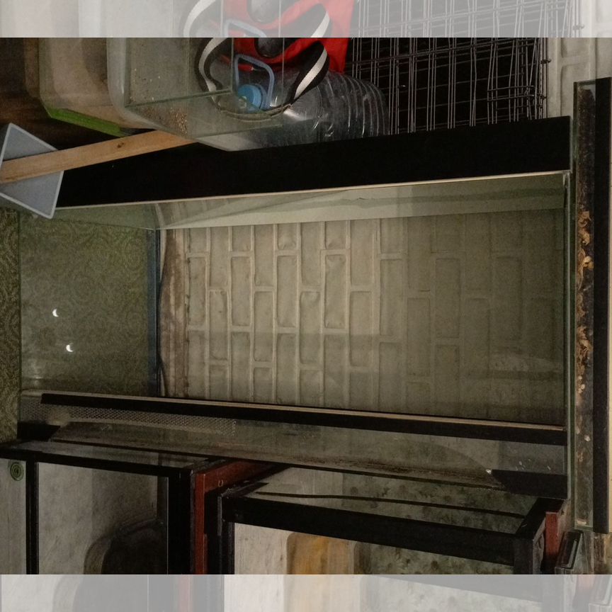 Террариум для рептилий бу