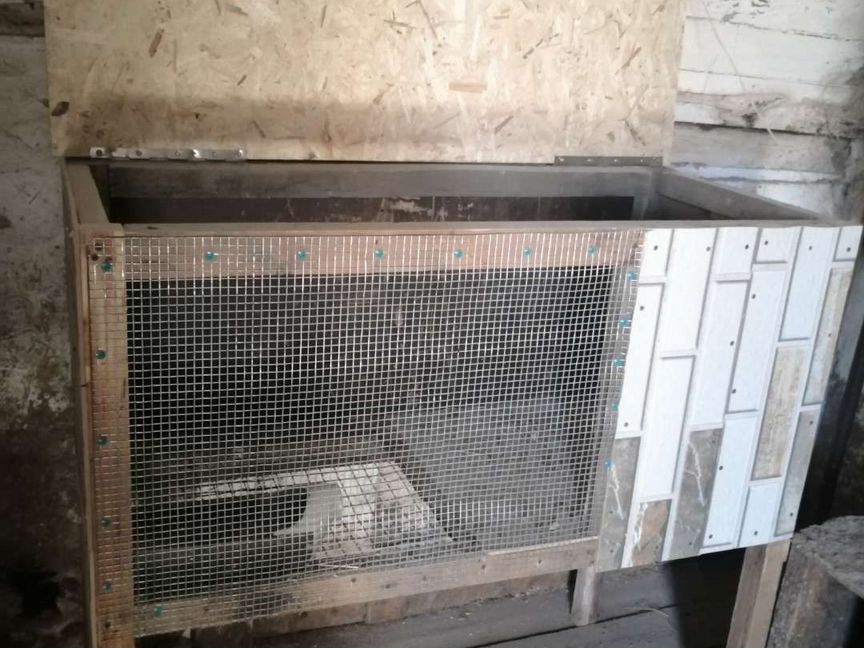 Клетки для кроликов с маточником