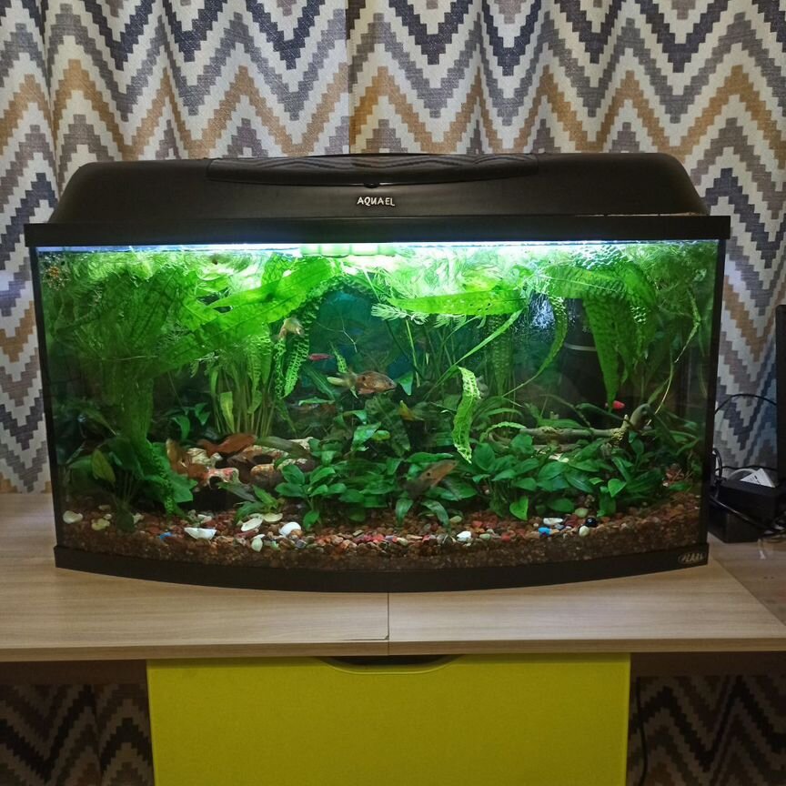 Аквариум с тумбой
