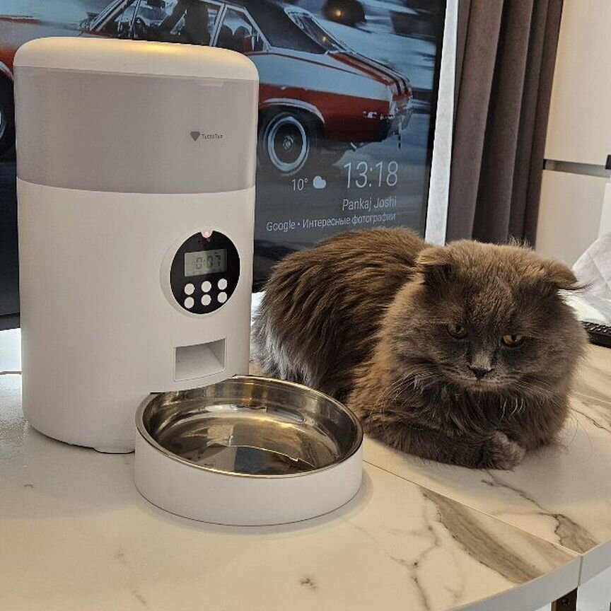 Автокормушка с таймером и звуковым сопровождением