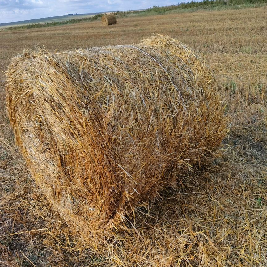Солома в рулонах