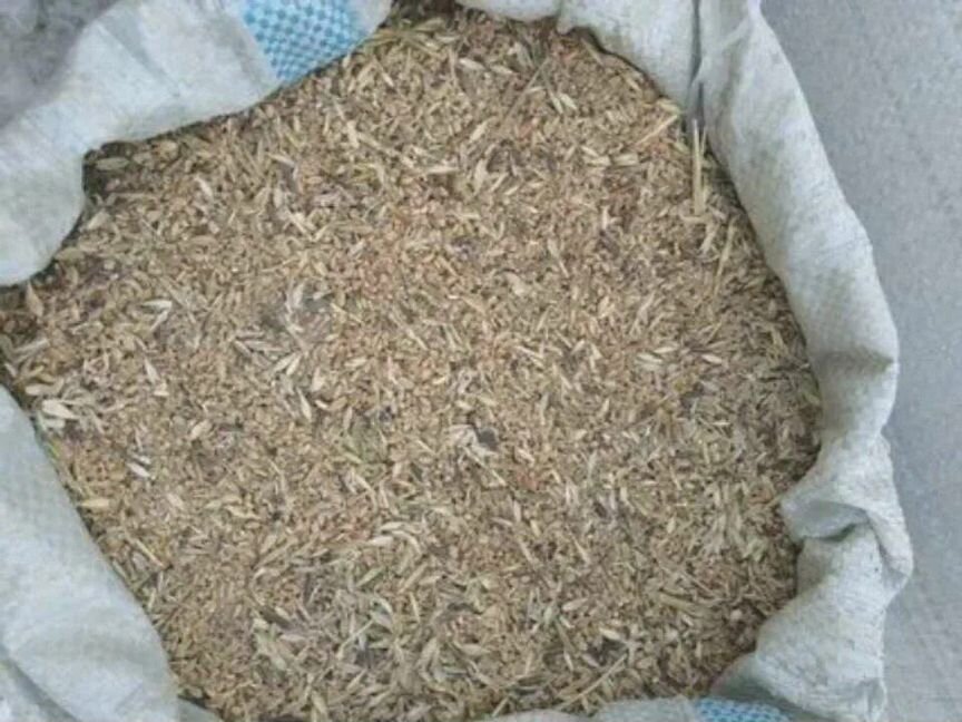Продам зерноотходы (ячмень)