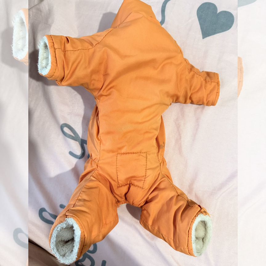 Одежда для собак мелких пород