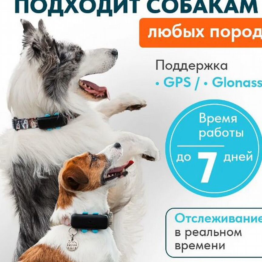 GPS трекер для собак со встроенной симкартой