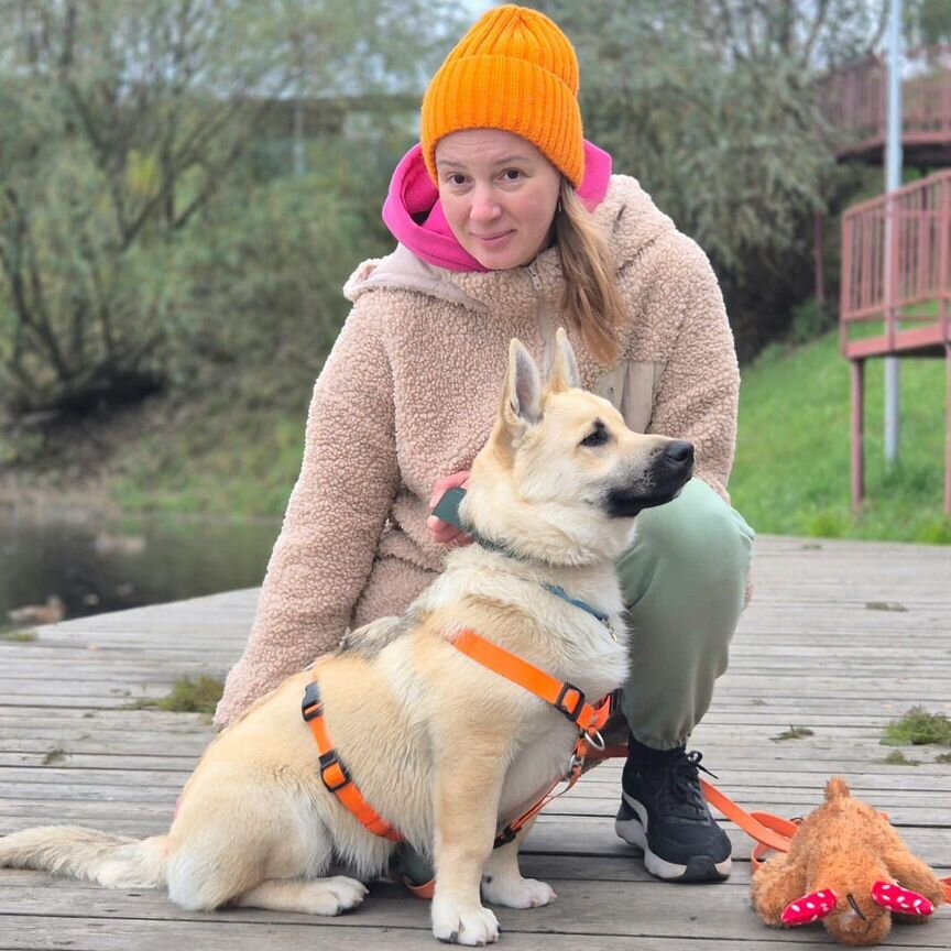 Щенок в добрые руки