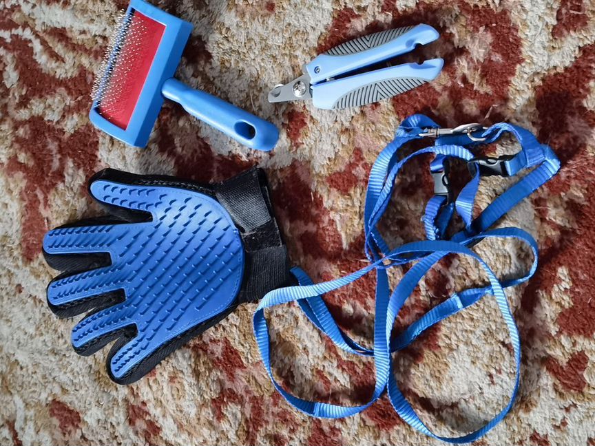 Принадлежности для животных