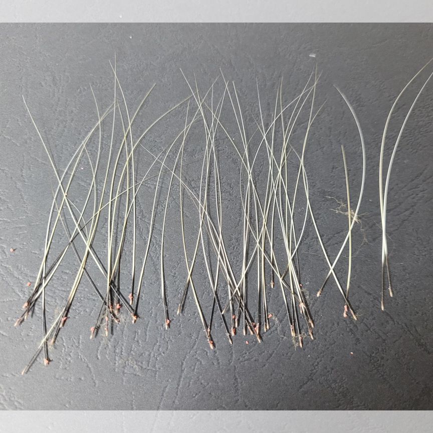 Кошачьи усы