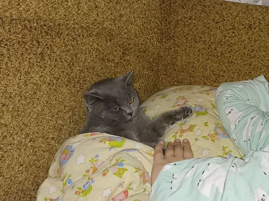 Я потерялась