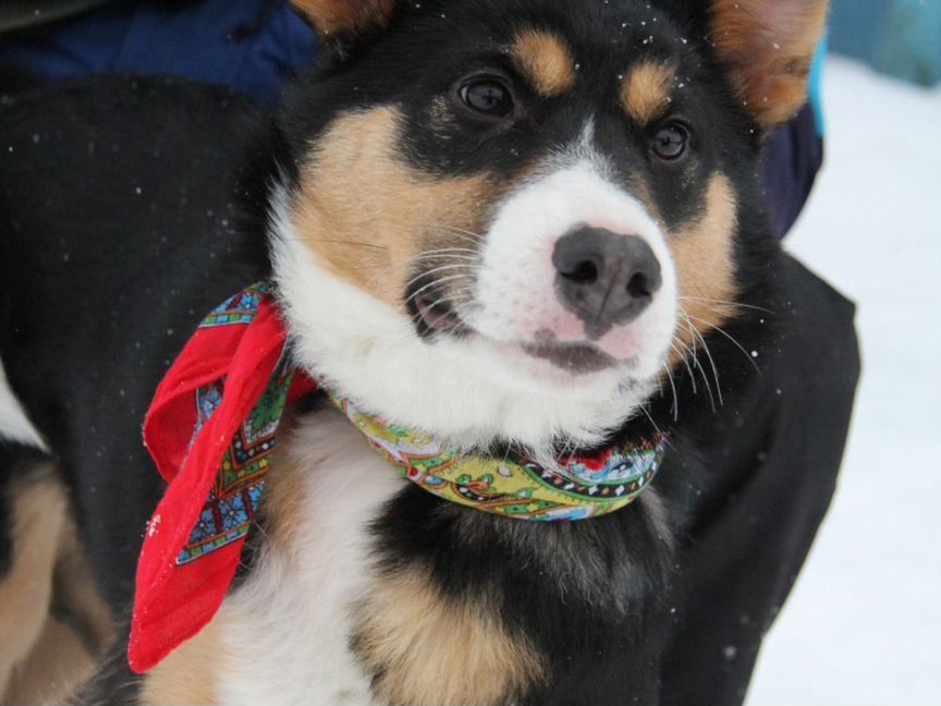 Маленькая сиротка из приюта