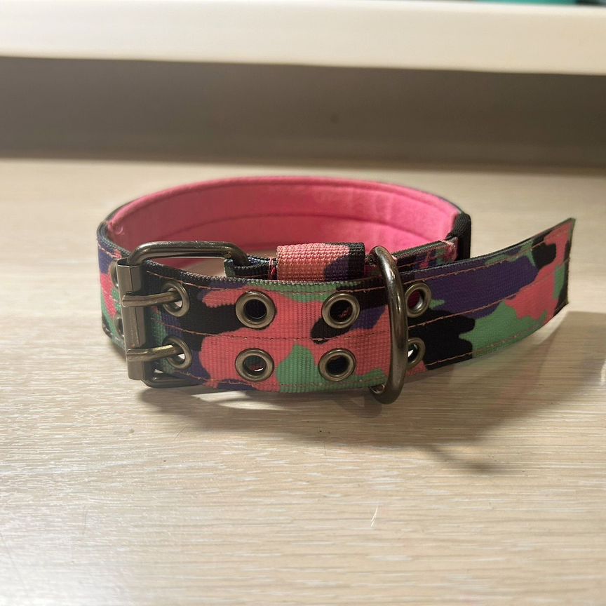 Ошейник для собак