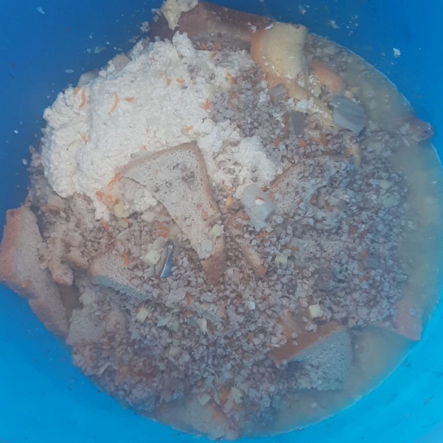 Пищевые отходы для животных