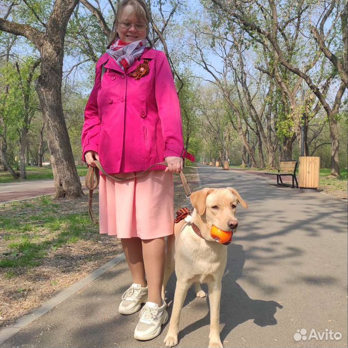 Зооняня. Догситтер