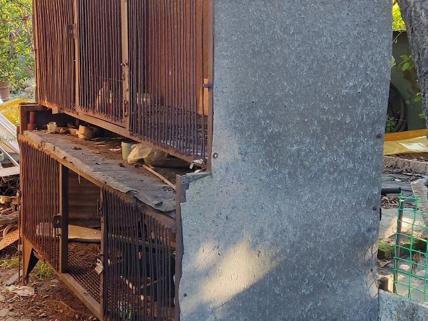 Крольчатник