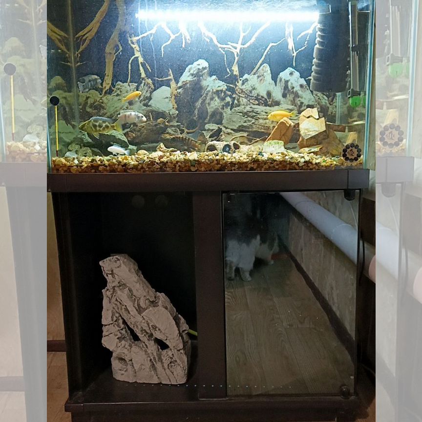 Аквариум с тумбой 200л