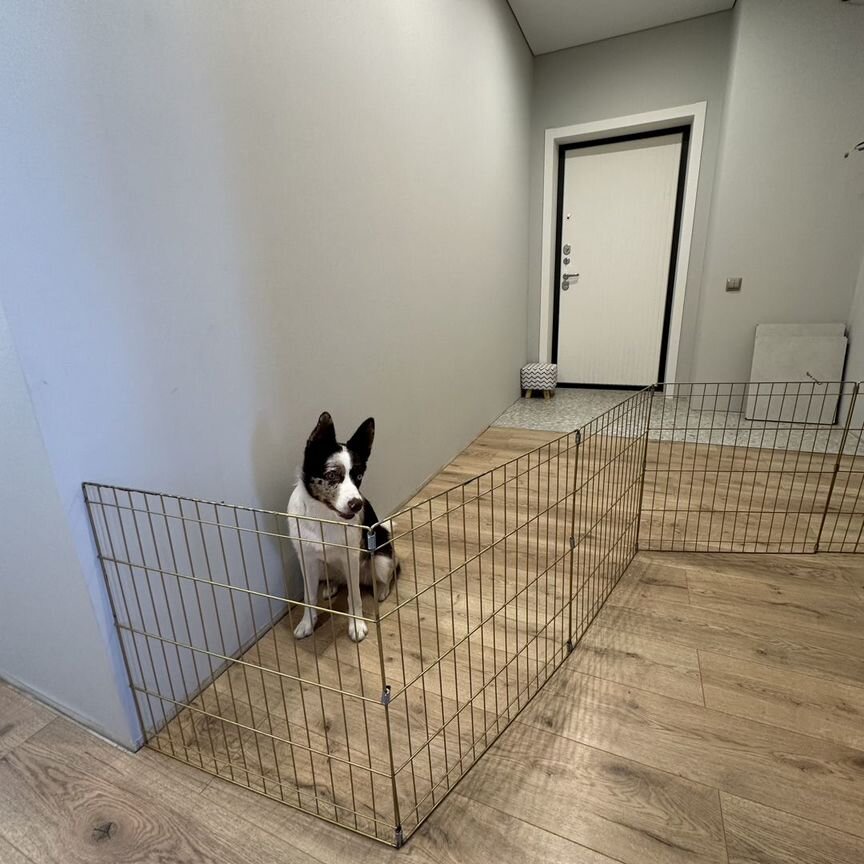 Вольер для животных, 5 секций, Золотой цвет, 61см