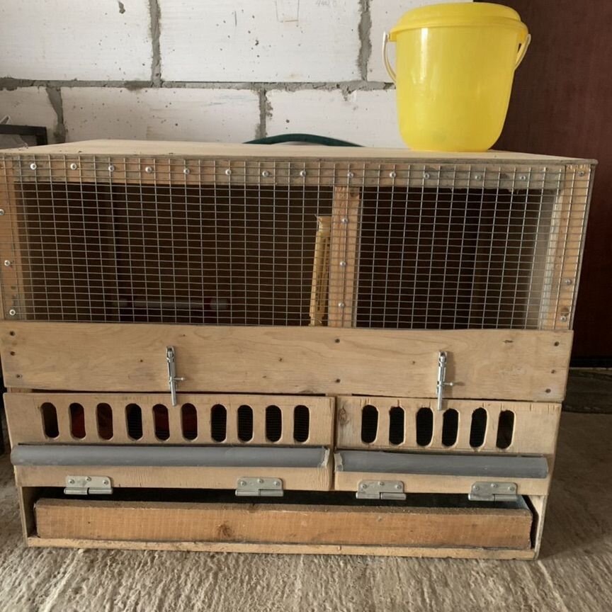 Брудер для цыплят