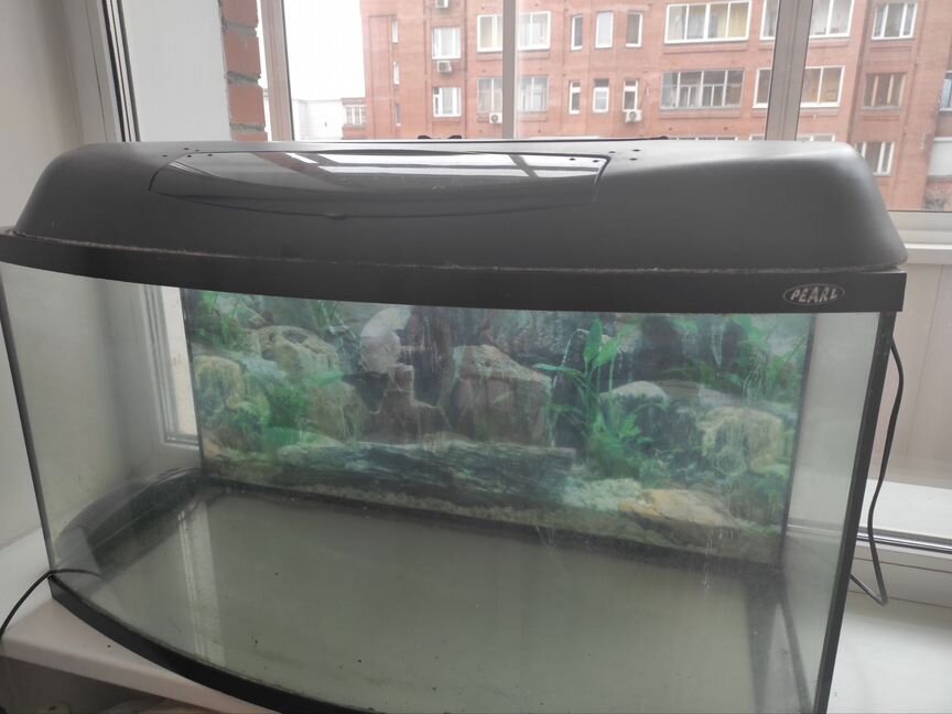 Аквариум Pearl 100 л