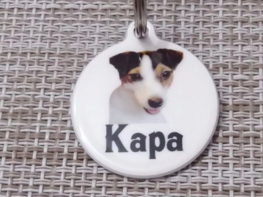 Адресники для собак