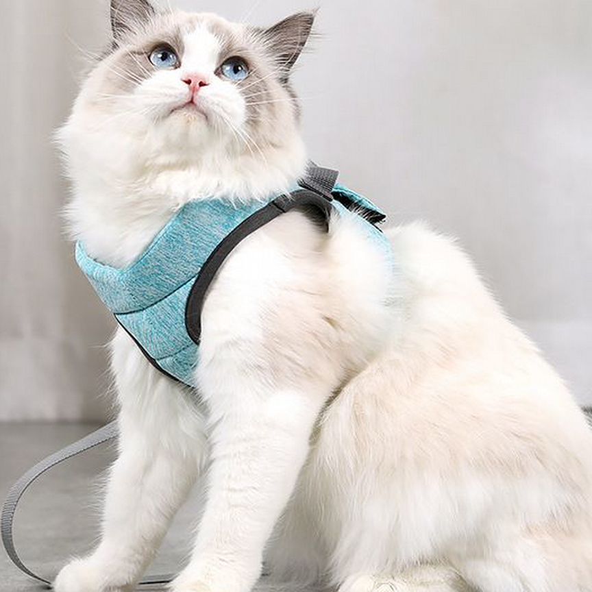 Шлейка для кошек с поводком