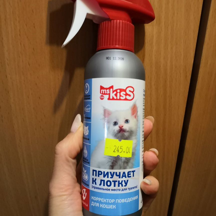 Спрей для котят