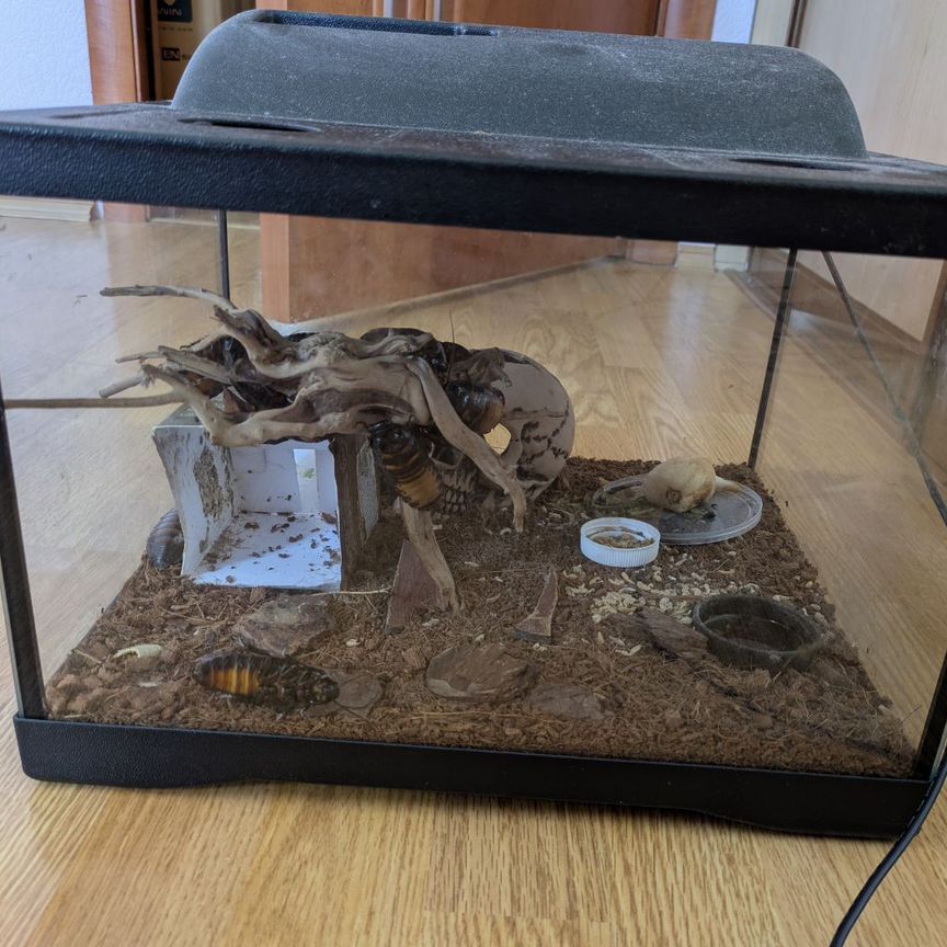 Террариум с подсветкой