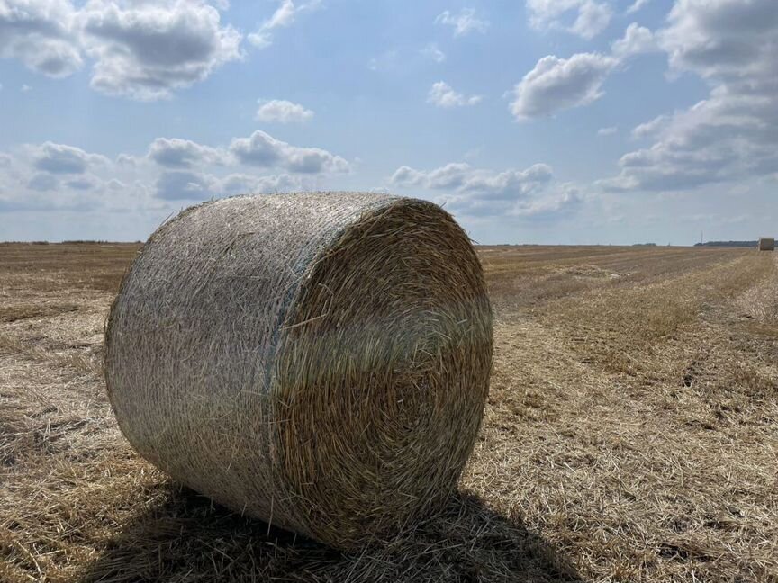 Сено в тюках