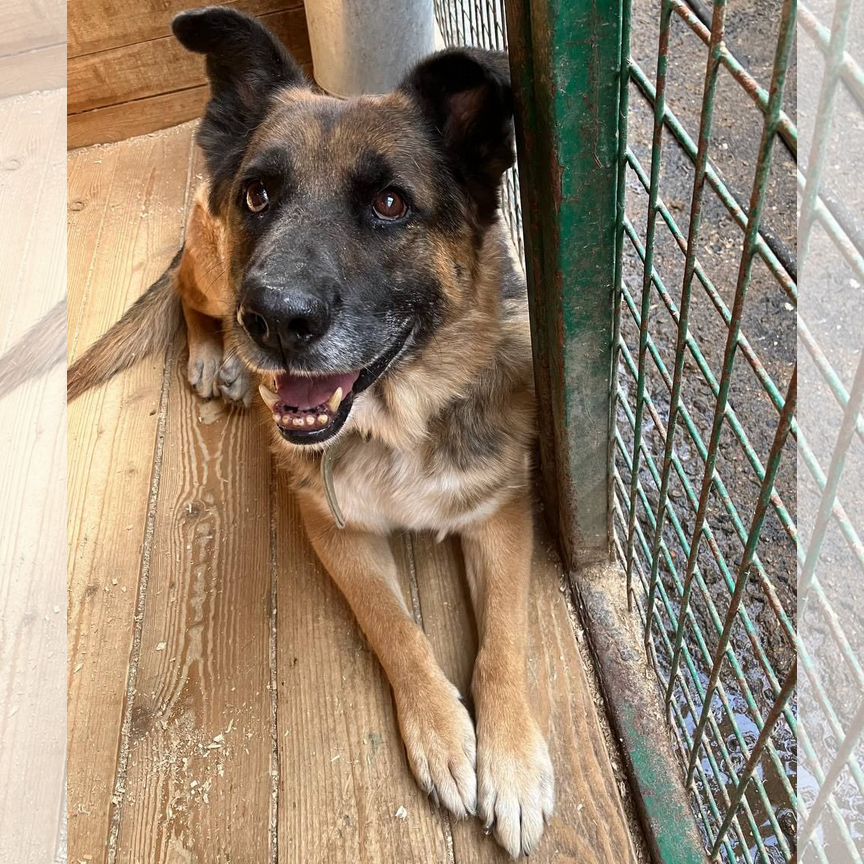 Джим ищет маму с папой