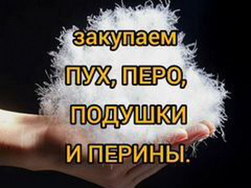 Гусиное, утиное Перо