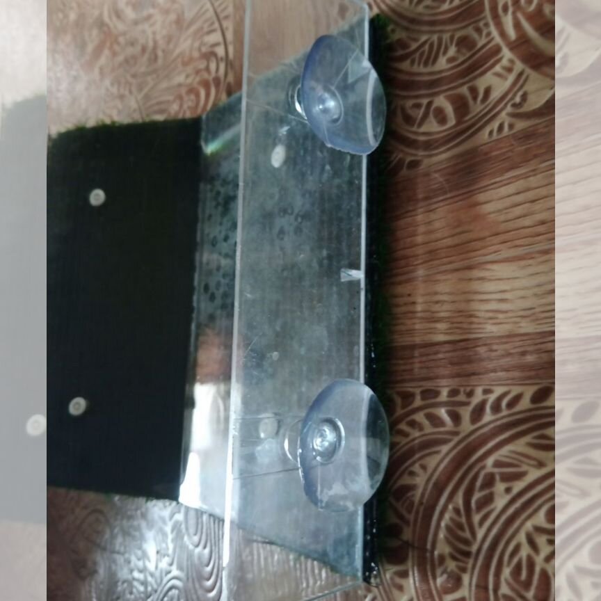 Мостик для черепахи водной