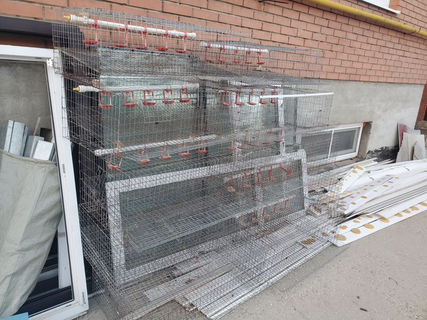 Клетки для перепелов