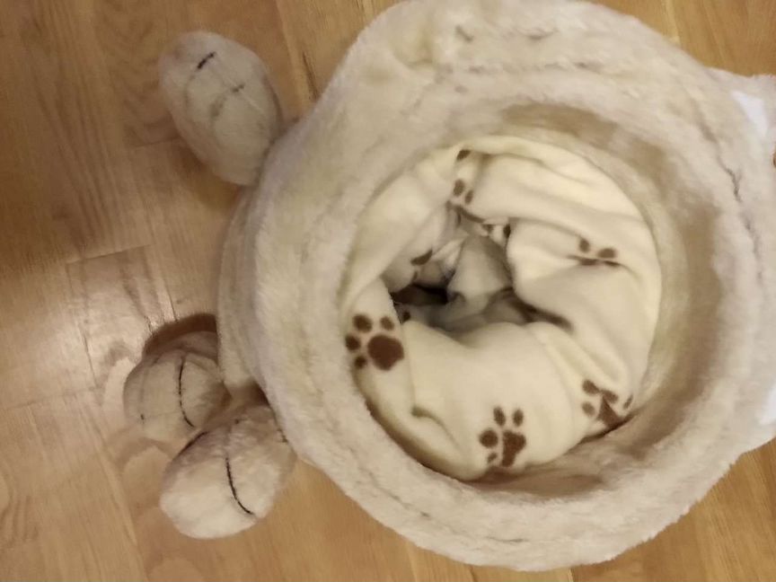 Туннель для кошек