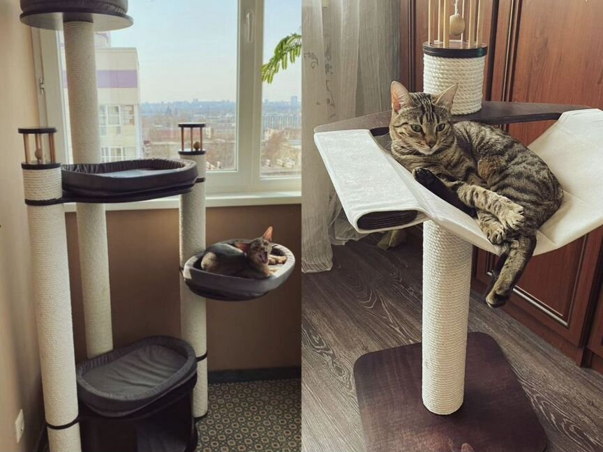 Когтеточка с домиком