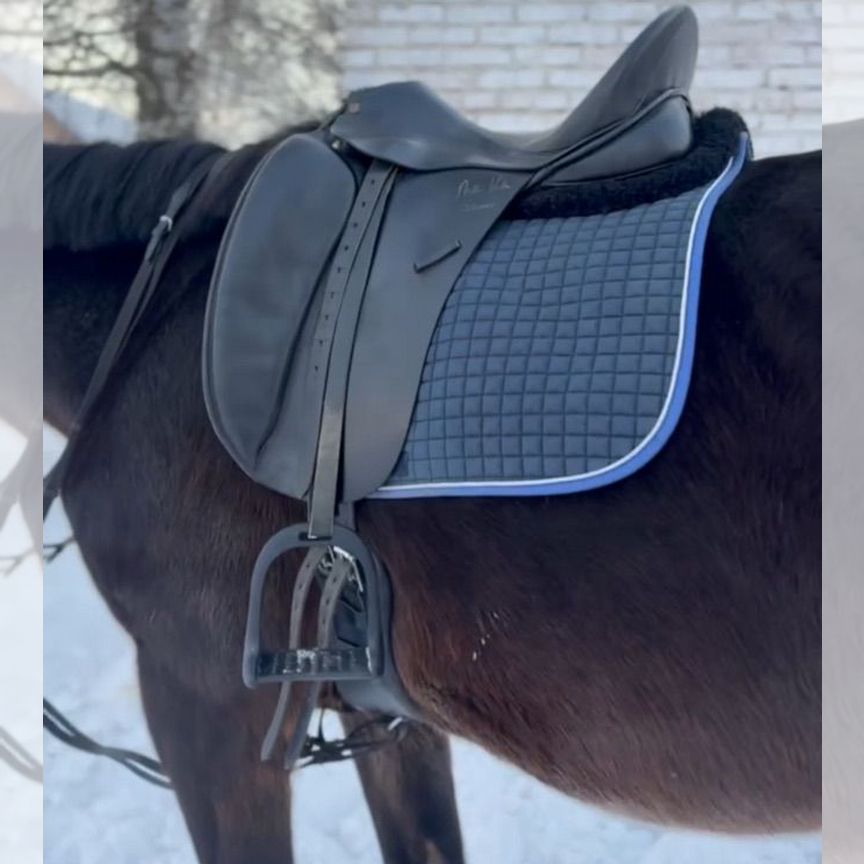 Седло выездковое