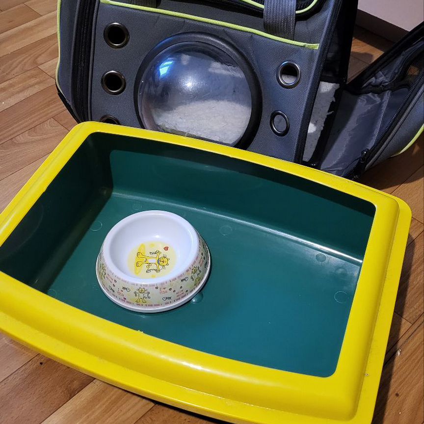 Лоток для кошек, сумка-переноска, миска