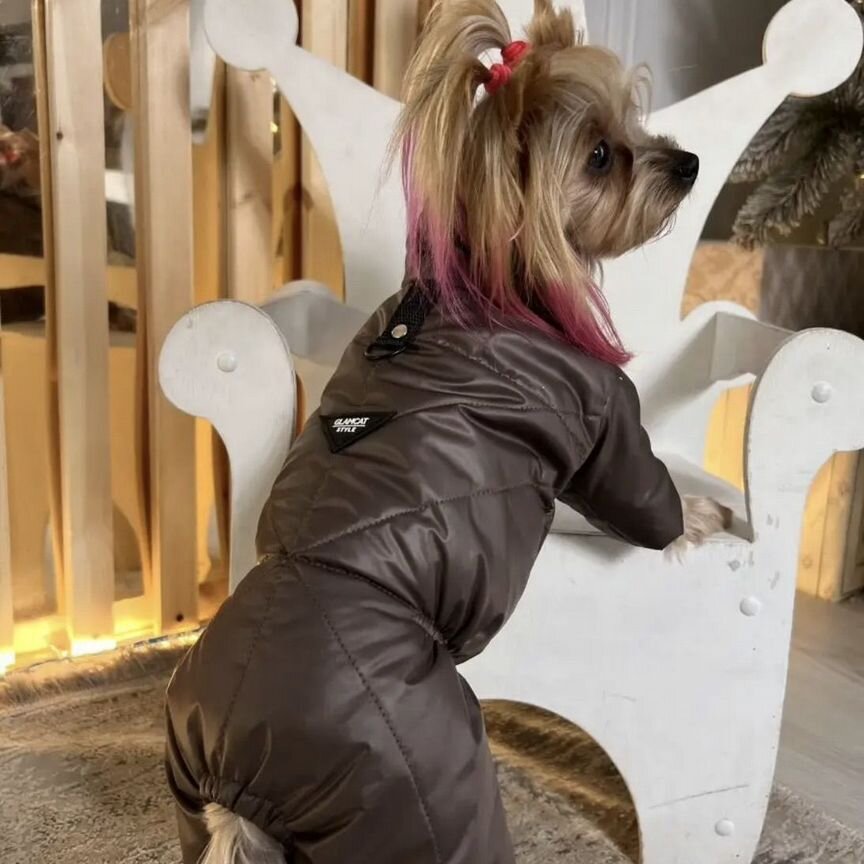 Комбинезон для собаки Glamcat