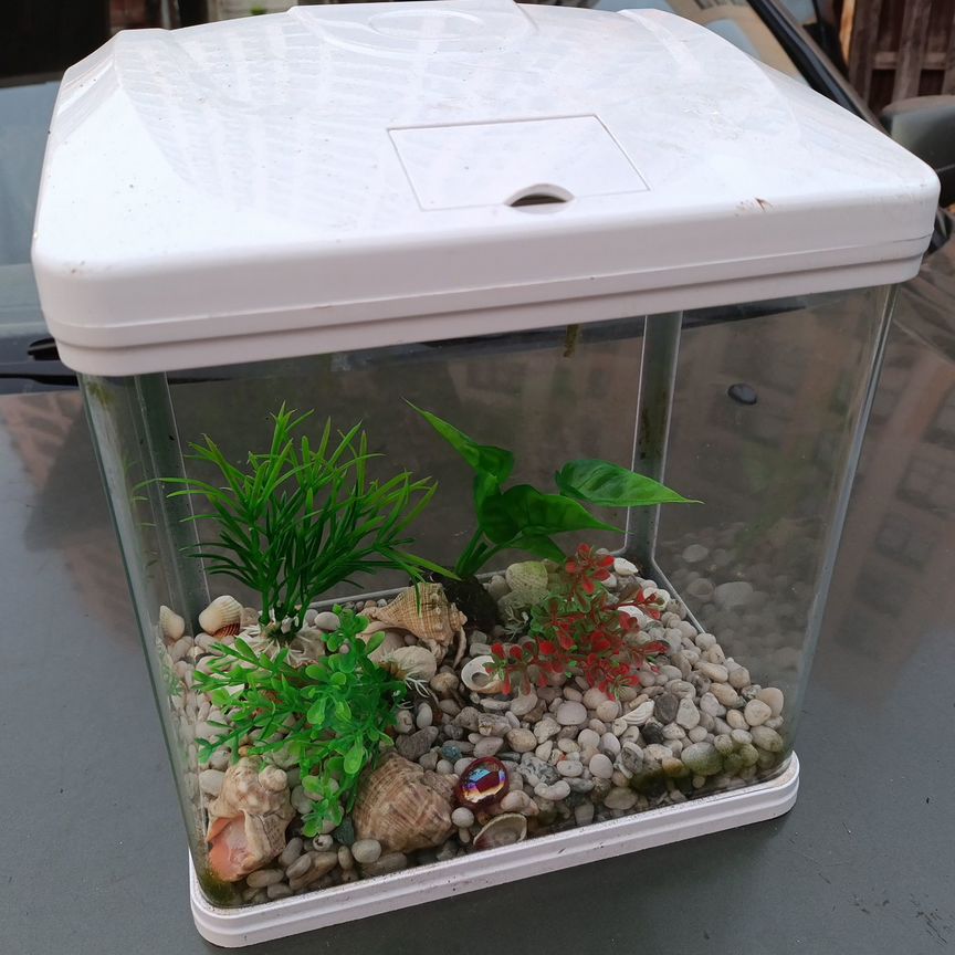 Аквариум небольшой