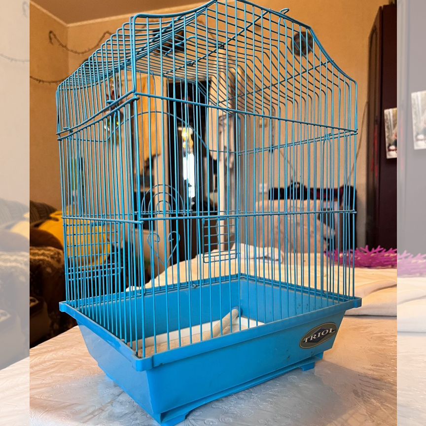 Клетка для попугая бу