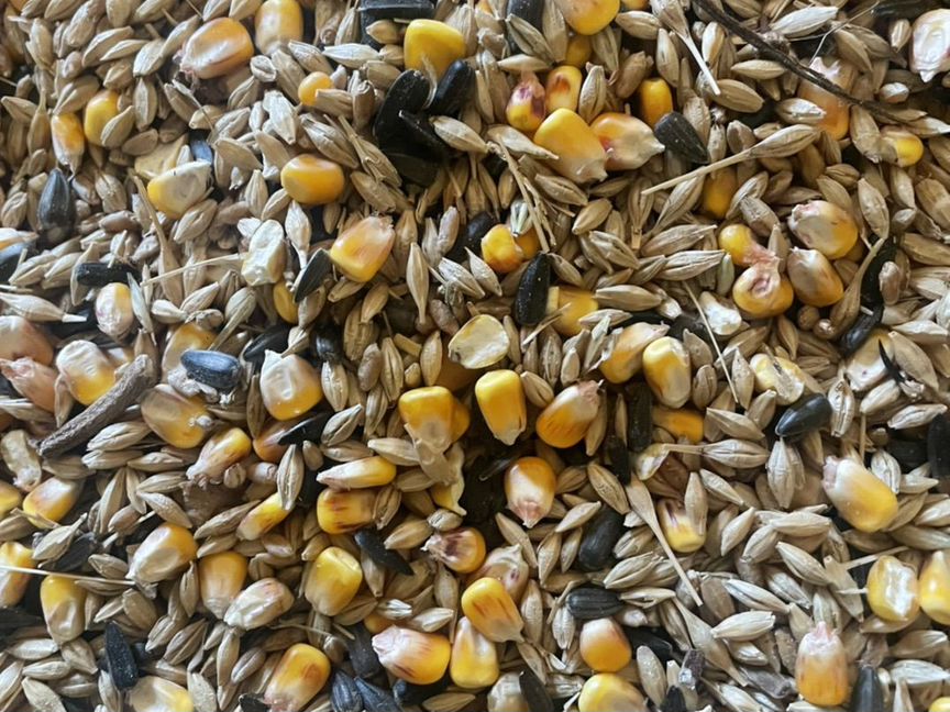 Зерно гранулы зерносмеси