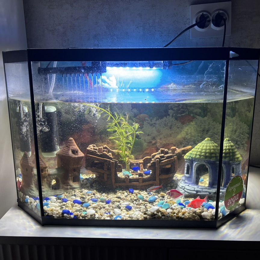 Аквариум 30 литров